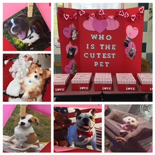 Cutest Pet Contest Runs February 8th-12th – Butler Elementary PTA